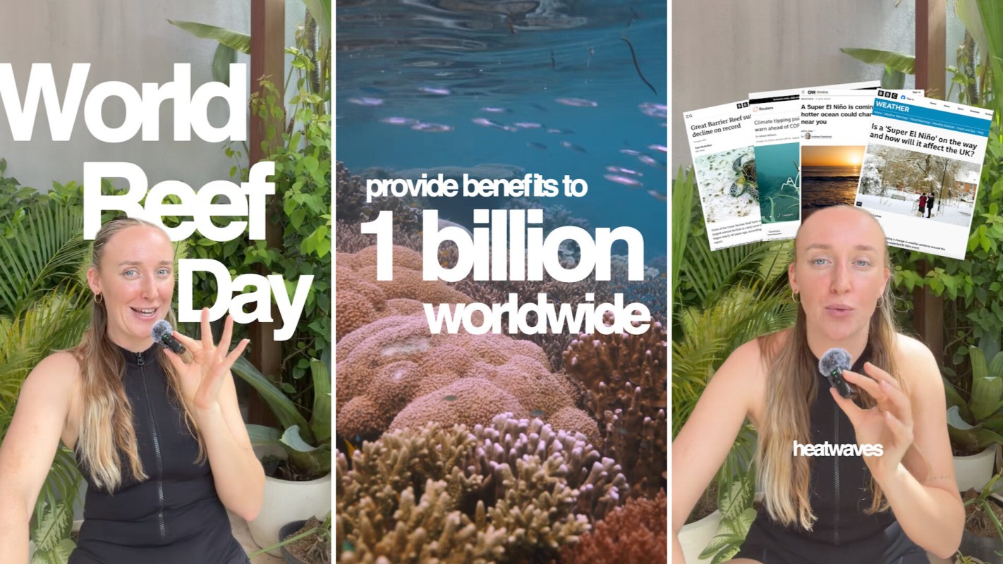 Coral-reef researcher declares it is time to 'double down' on ...