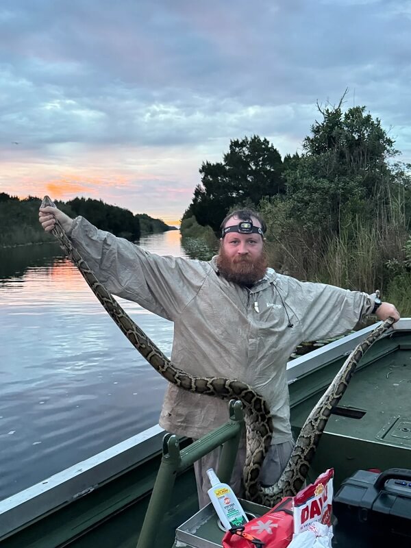 'Finally after 3 tries, I got myself a python': Invasive Burmese snake ...
