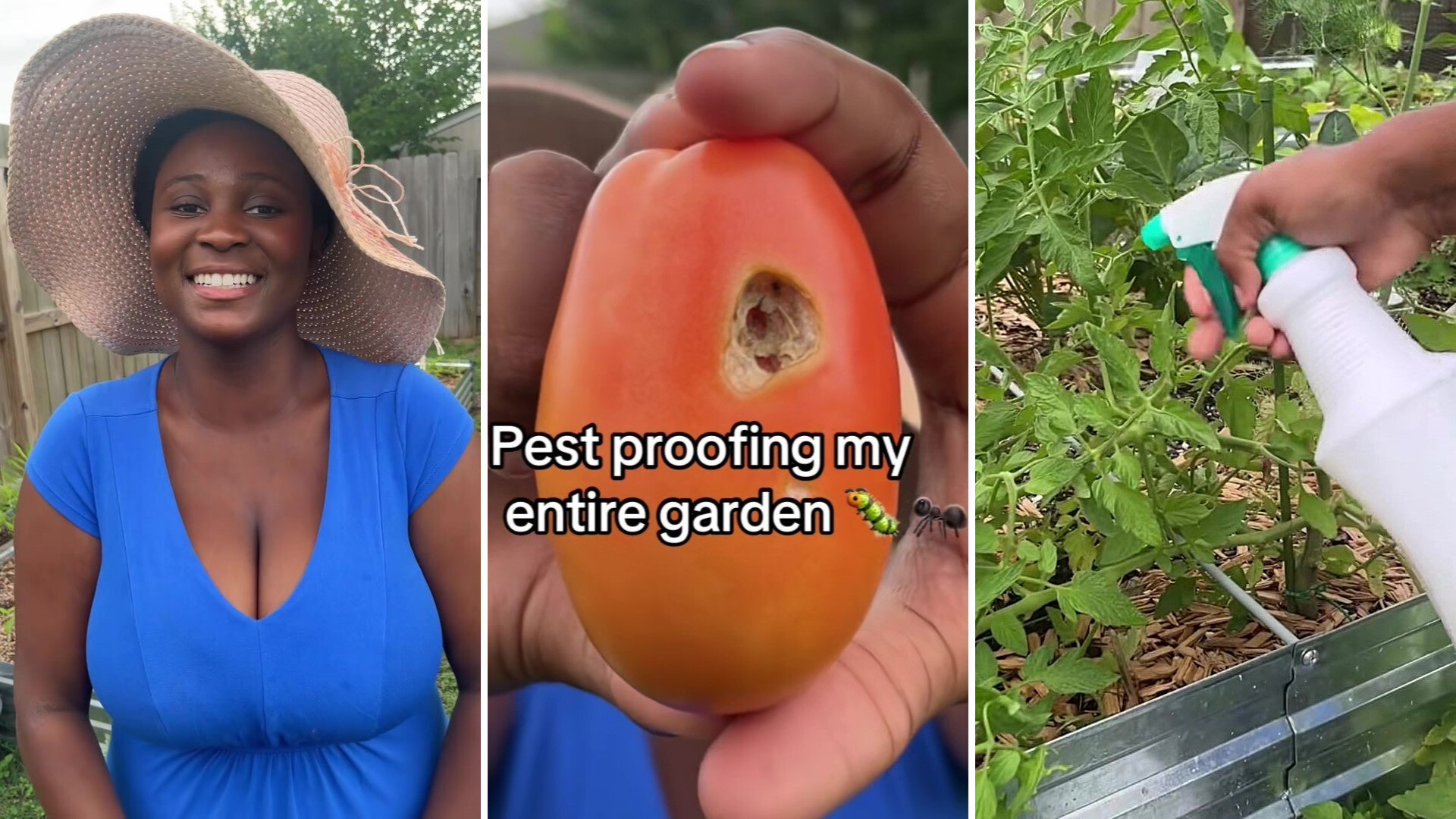Gardener shares pest control routine used to stop worms, beetles, and ...