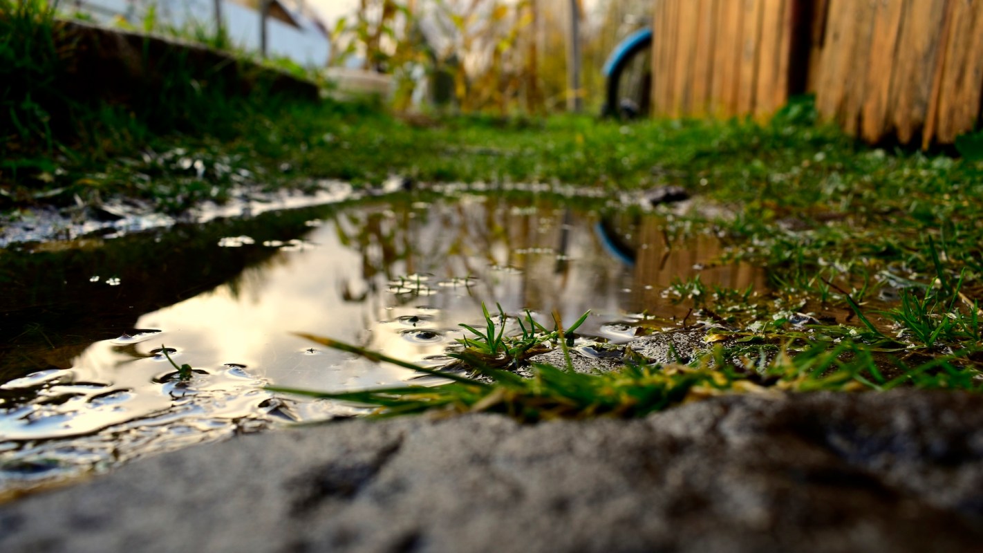 First West Nile case of 2026 hits Colorado as officials warn even small ...