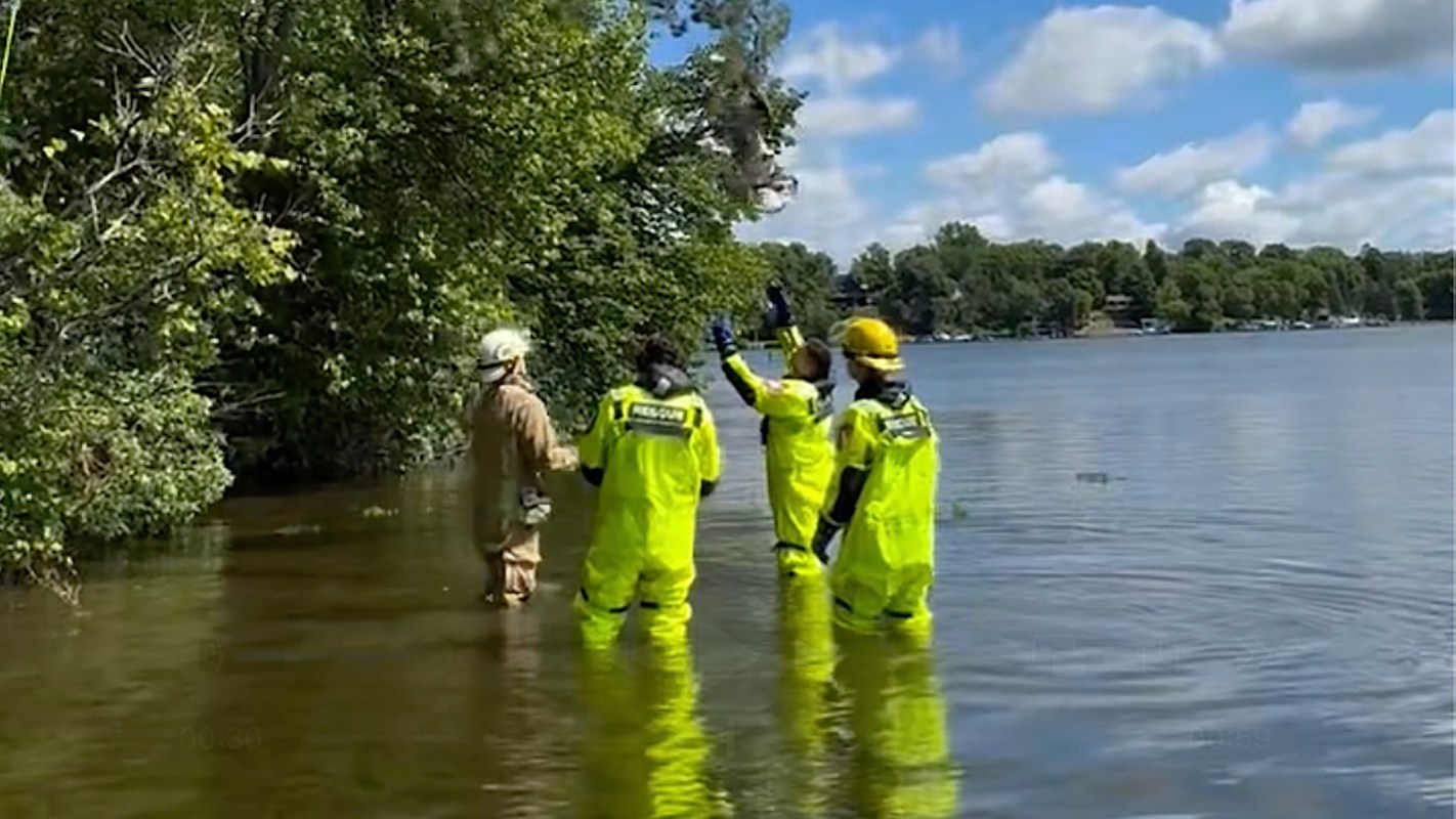Minnesota rescuers free injured osprey found hanging upside down in ...