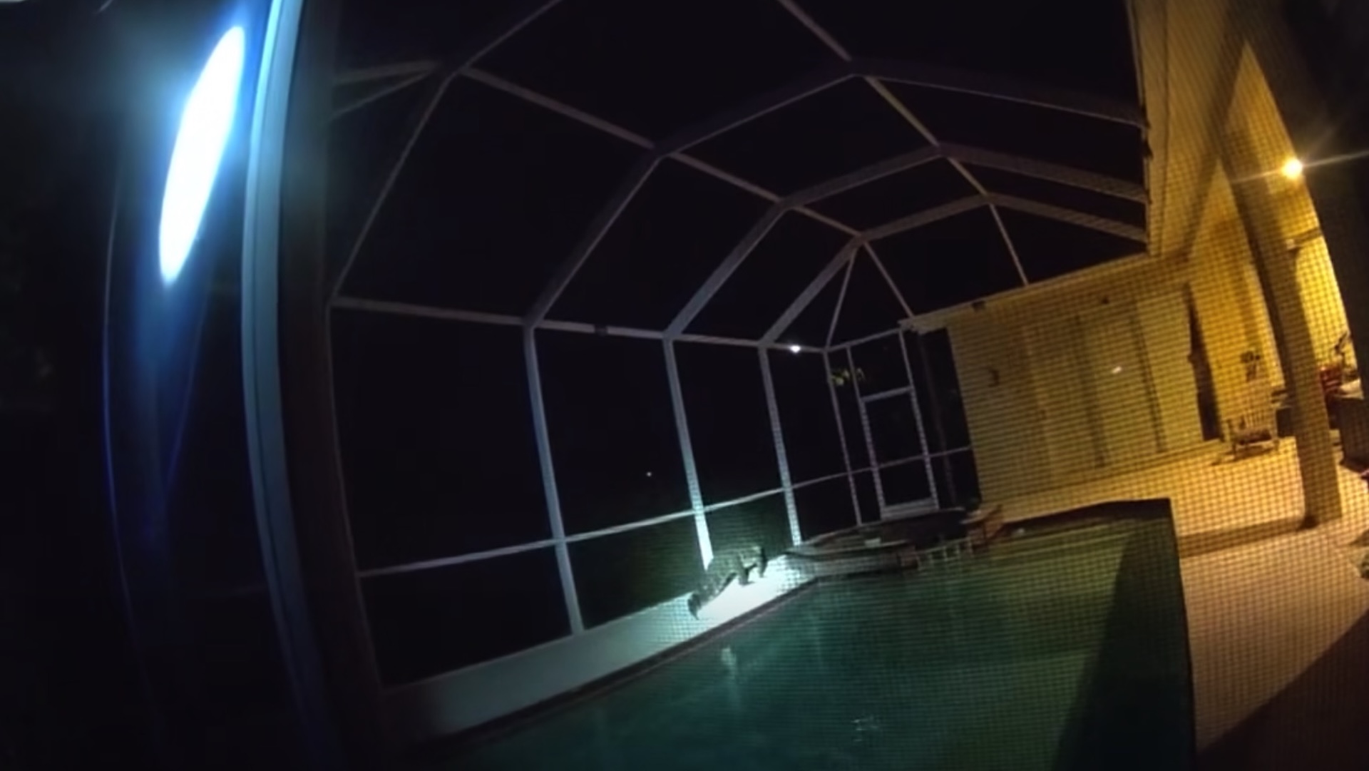 Tampa family feared a break-in at 3 a.m. before police found a huge ...