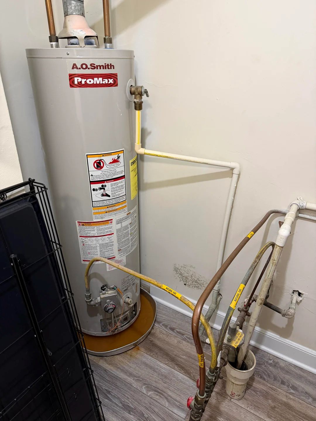 Renters find mold after hot water heater leaks, fear a 'Band-Aid' fix ...